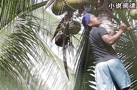 女-荒岛-小图-无-26LSQ-0929 (20)-花瓣网