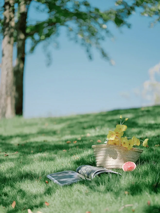 1040g00830ns878dnha4g5n58nl45sud2ofsebk8!nd_dft_wlteh_webp_3 (1080×1440)-花瓣网