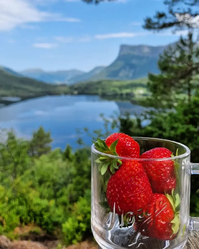 花瓣灵感详情页-花瓣网