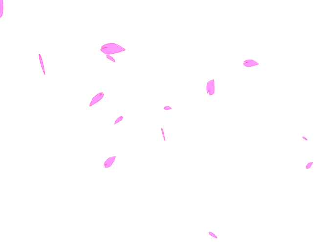 樱花飘落.gif-花瓣网