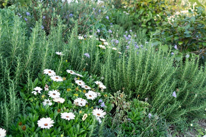 西岸漩心Orbit / THLA 天华景观 – mooool木藕设计网-花瓣网