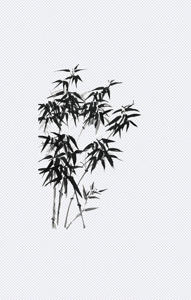 秀气文竹图片|墨竹,竹,水墨,竹子,竹叶,山水画,中国风,手绘,免抠元素,免抠图片,png图片,png素材,装饰元素,免抠素材,装饰元素,免抠素材