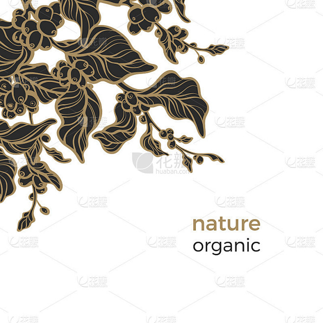 模板的黑色树枝的咖啡树与树叶和咖啡豆。矢量图