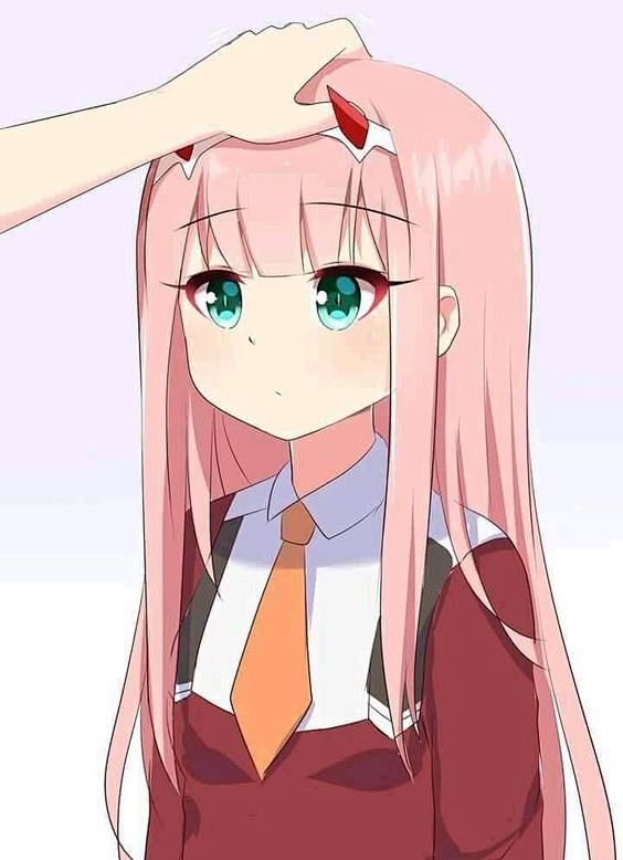 DITF