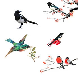 鸟类扁平化图片大全,鸟类扁平化设计素材,鸟类扁平化模板下载,鸟类扁平化图库_昵图网 soso.nipic.com-花瓣网