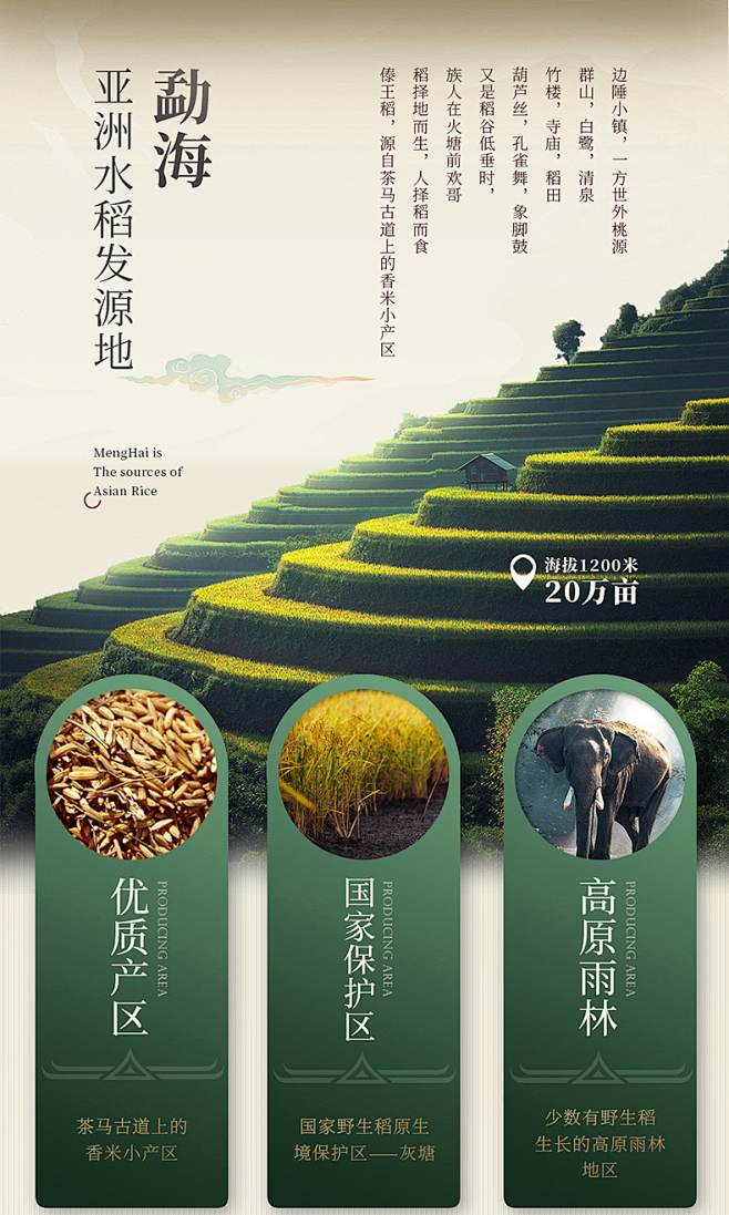 漂浮 海报承接icon