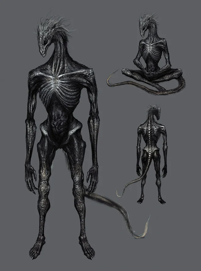 ds3-dragon-花瓣网