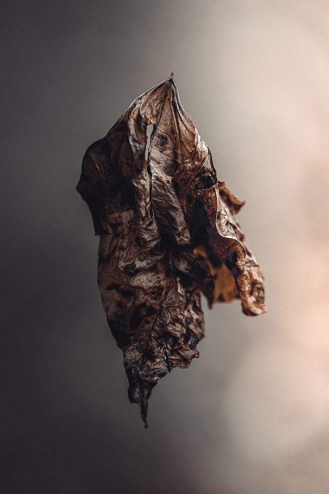 Fallen Series Part 1