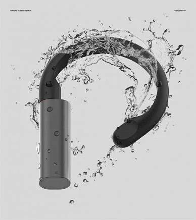 louis berger BC1-花瓣网