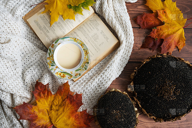 秋天flatlay概念。