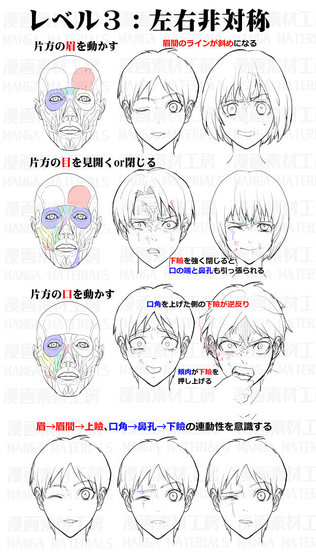 用面部肌肉和骨骼做面部表情