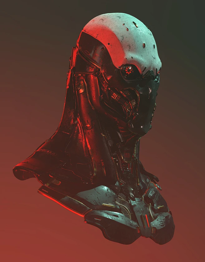 XR-5, Maxim Moshkov : Cyborg-花瓣网