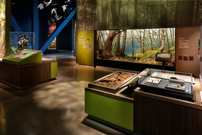 Bell Museum of Natural History : The Bell Museum of Natural History, on ...