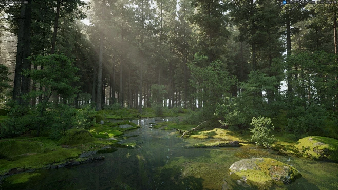 UE5 Moss Forest Edit-花瓣网