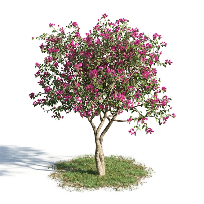 3d model of archmodels vol 154 plants trees https://p.turbosquid.com/ts ...