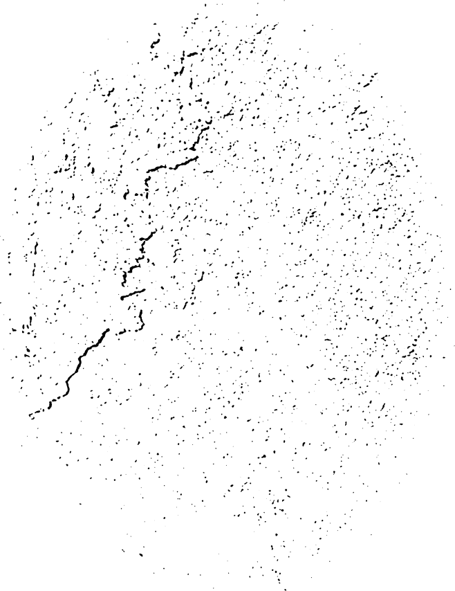 SG-Speckle-Texture-19