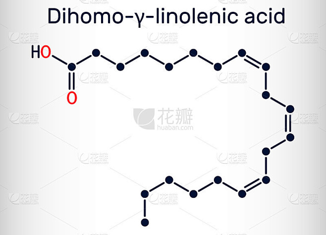 二homo-γ-亚麻酸(DGLA)分子。它是ω - 6，多不饱和长链脂肪酸。骨骼的化学公式