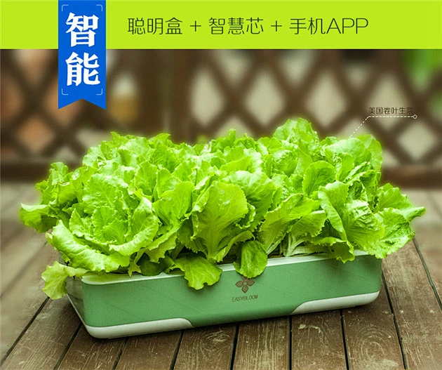 EASYBLOOM有机蔬菜种植盒_72变智能硬件-花瓣网