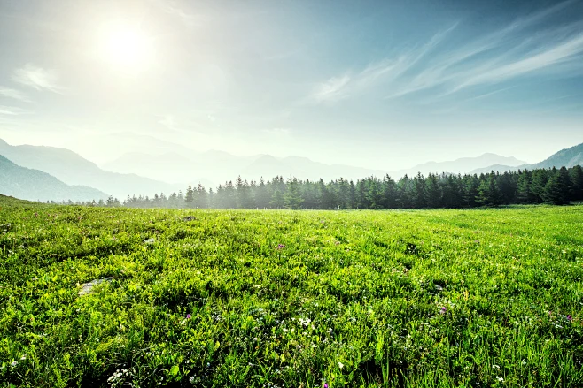 ee5fcbd64036a812dcb007f266448e5-花瓣网