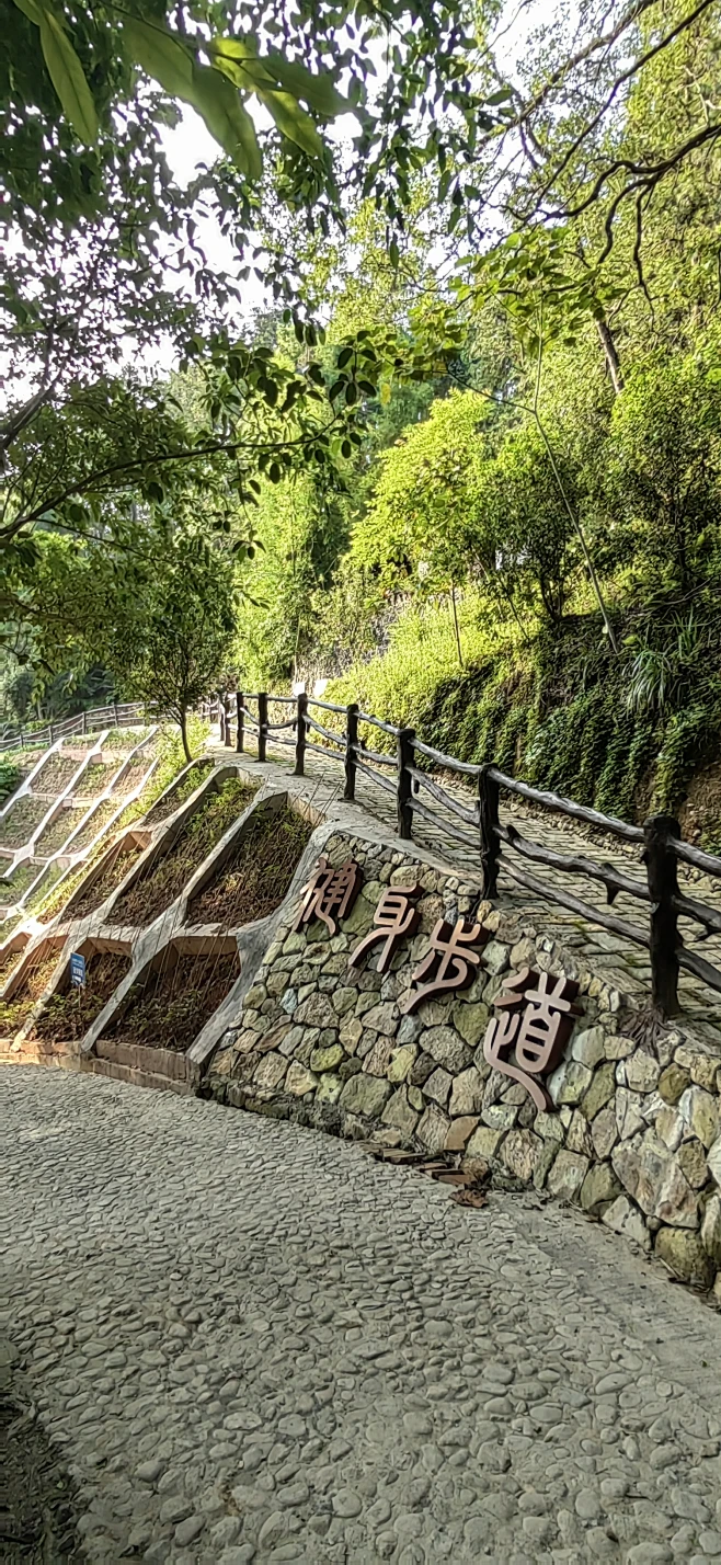 IMG_20230531_171333-花瓣网