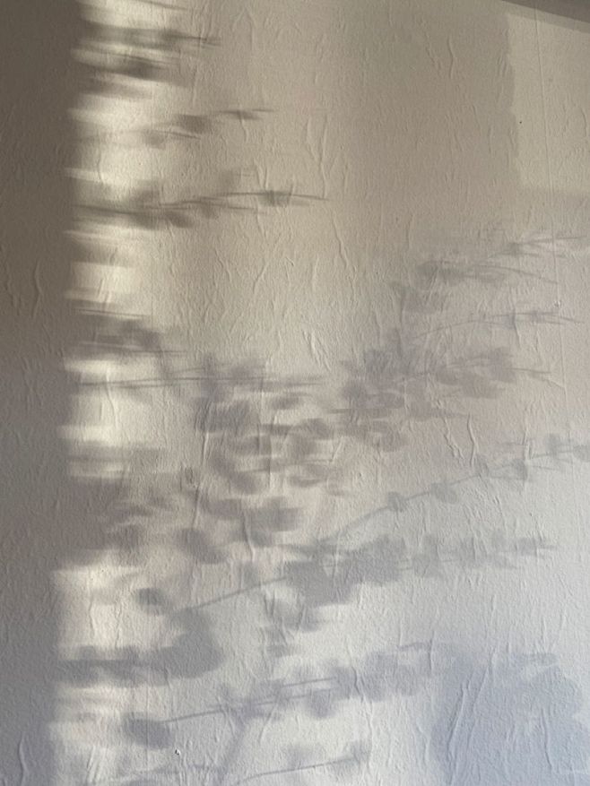 3bdb0f58-b337-409a-adef-1246a54b5154