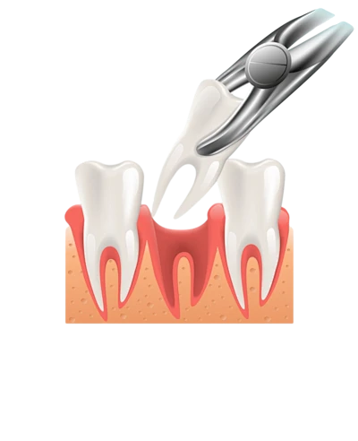 【米图网-52mitu.com】牙齿 拔牙 白色 ss牙齿-花瓣网