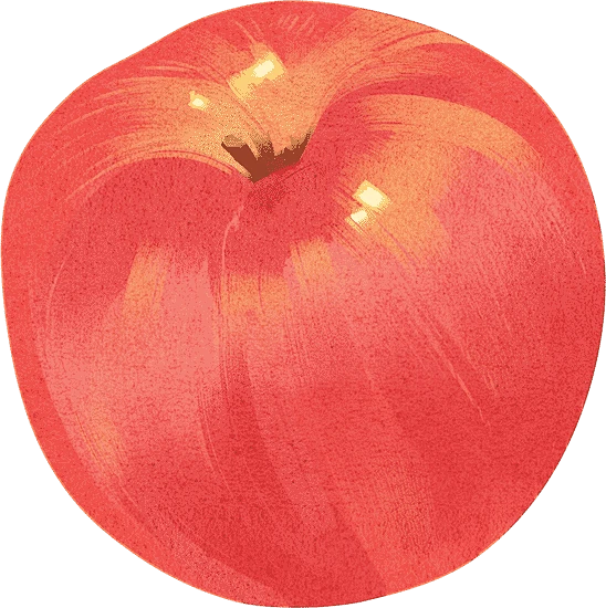 tl.png (548×550)-花瓣网