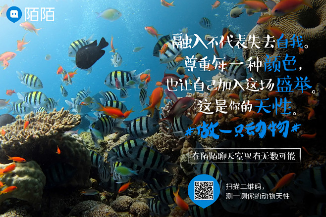 陌陌品牌形象KV4