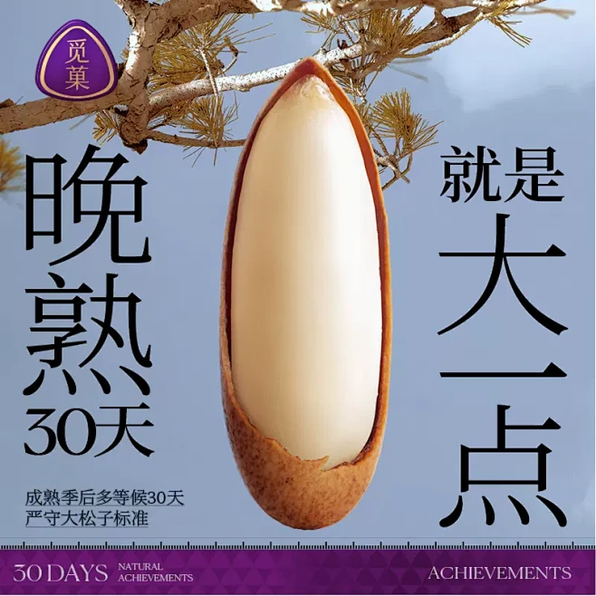 觅菓觅果手剥巴西松子阿富汗新货特级大长颗粒238g罐坚果休闲零食-tmall.com天猫-花瓣网