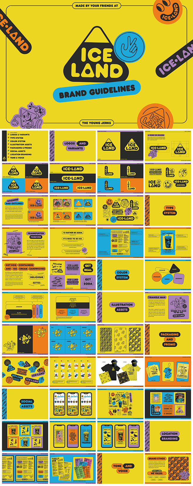 美国ice land品牌VI手册
