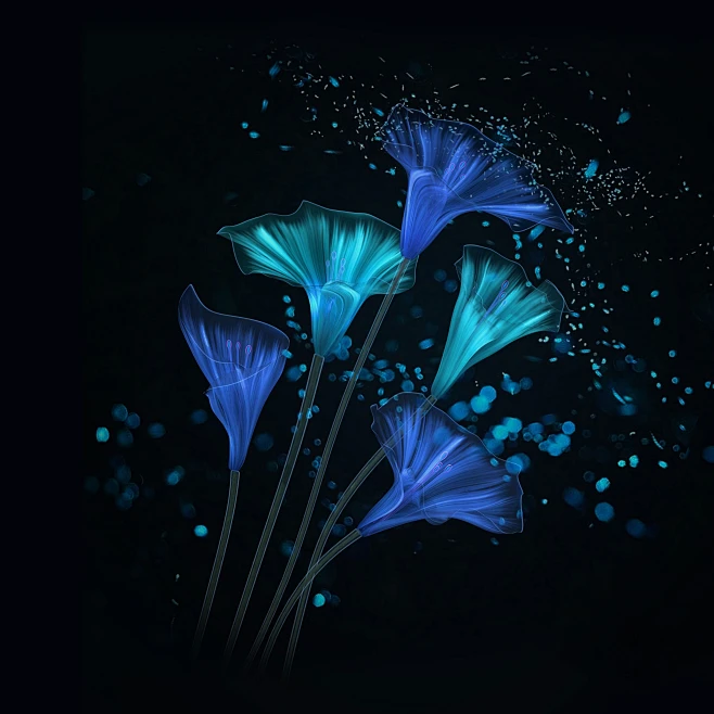 Magic2自带壁纸-花瓣网