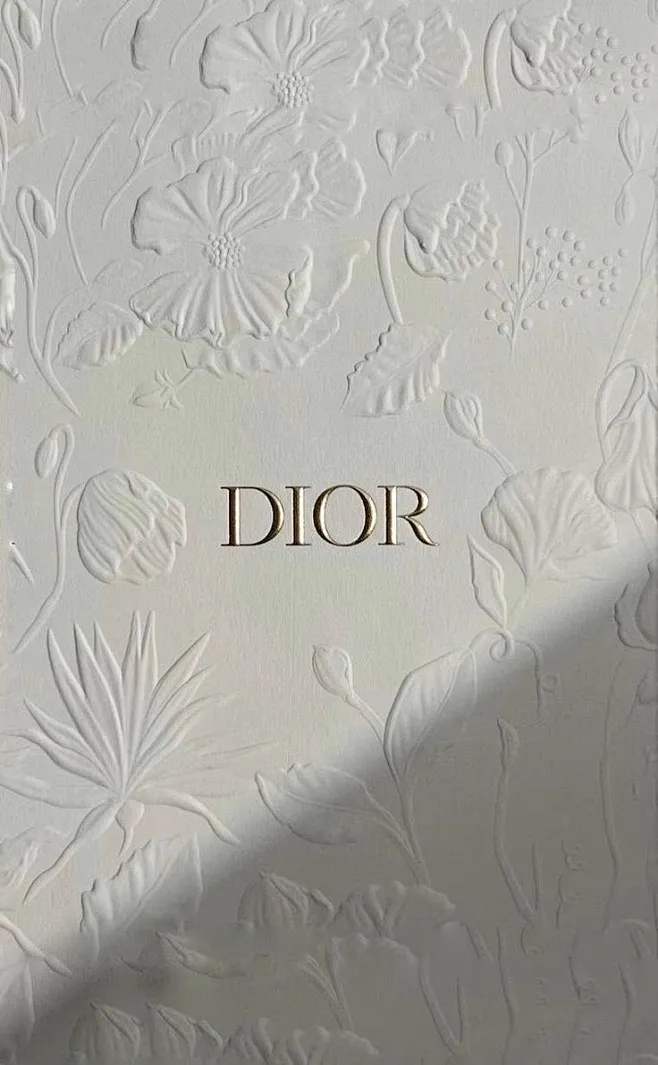 This may contain: the word dior is written in gold on a white wall with ...