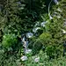 tonyalillian95_Overlooking_a_vast_green_spruce_forestPure_blue ...