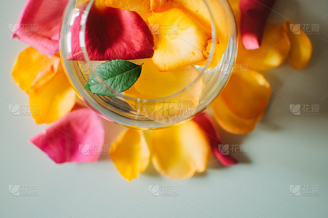 花盆里的一束花瓣