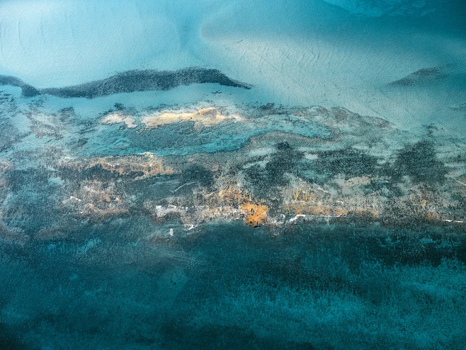 Tropical Reefs : Reefs are bars of rock, sand, coral or similar ...