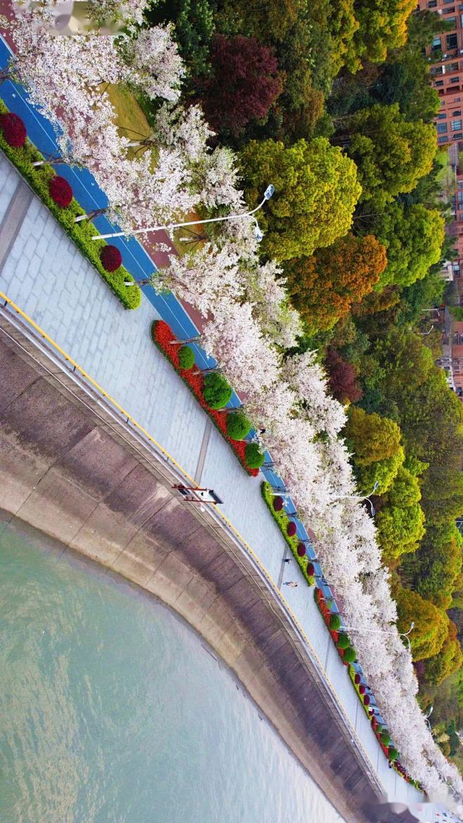 杭州滨江区闻涛路最美跑道