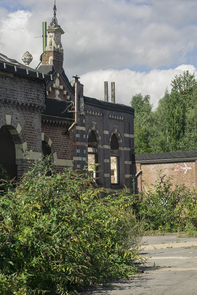 Overgrown Factory (6)-花瓣网