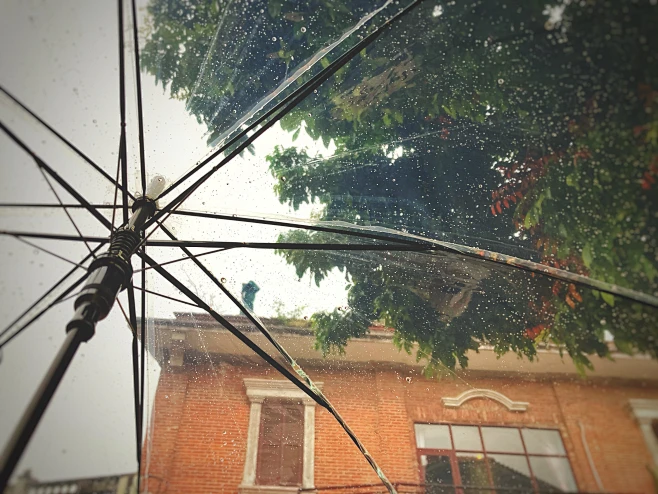 #摄影（雨季）#-花瓣网