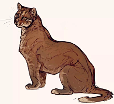 兽参考-花瓣网|陪你做生活的设计师 | 田奥拉星官网