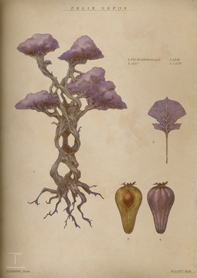 Alien Flora-花瓣网