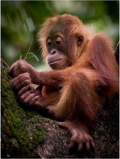 Behance :: 搜索-花瓣网