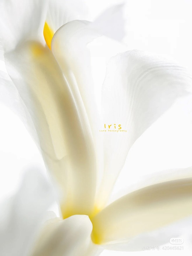 Camera_XHS_16764742966231000g008213rqha6fo0004a09