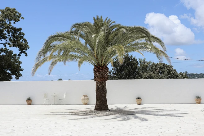 Photo by LA LOMA HOUSE in La Loma House with @cobaki.tree.co. 可能是包含下列内容 ...