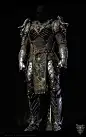 Ketheric Thorm Armor - Baldur's Gate 3-花瓣网