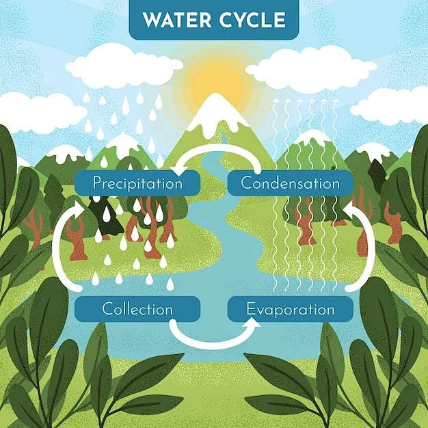(源站可下源文件)手绘水循环/Hand drawn water cycle-花瓣网