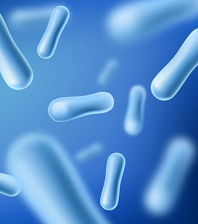 益生乳酸菌精粹 2 在睡眠期间平衡肌肤微生态 构筑肌肤防御力-花瓣网