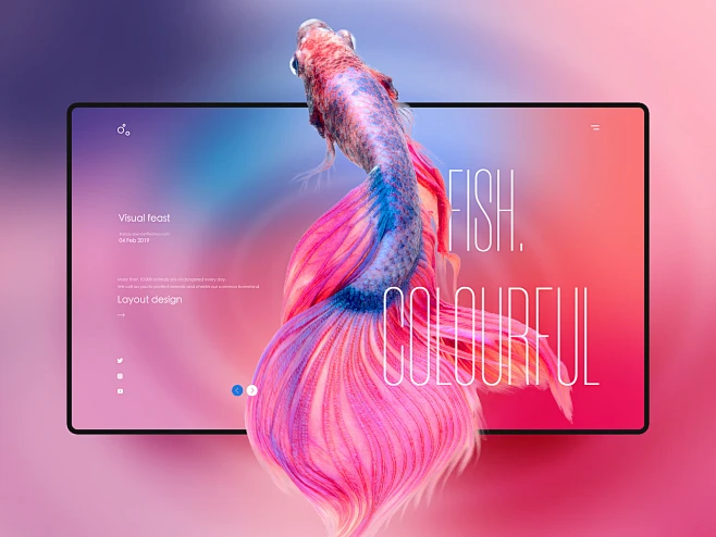 网页版式设计合集7_陈柳任_【68Design】-花瓣网