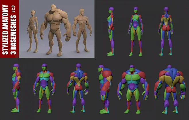 ZB风格化素体角色模型 肌肉素体 男女身材 Artstation模型obj-花瓣网