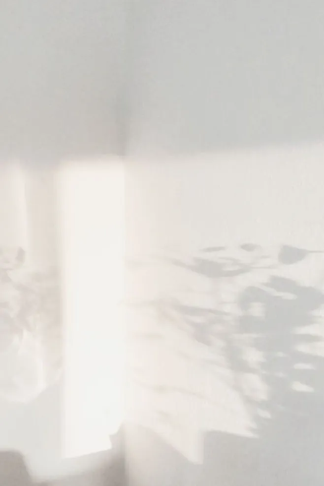 light aesthetic-花瓣网