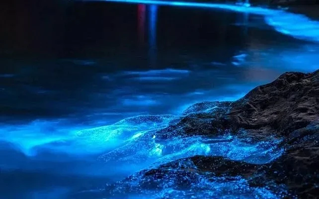 央视聚焦：福建平潭再现“荧光海”，这座宝藏小岛惊艳了世界！ : 近日，CCTV-13《新闻直播间》聚焦平潭 “蓝眼泪” 提早爆发荧光海美景重现 ...